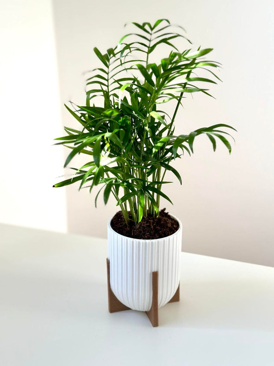 Tienda DecoFlex3D – DecoFlex 3D